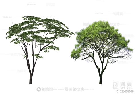 Modern Tree Sketchup Model Download Model ID 526474008 1miba