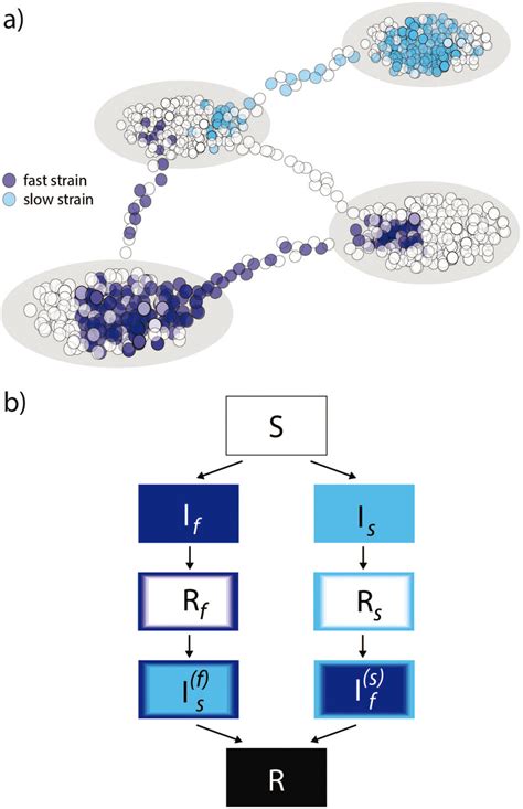 Schematic Representation Of The Metapopulation Model With Two