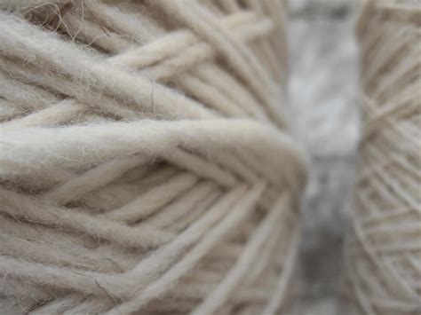 The Pokari Project Marina Porcini