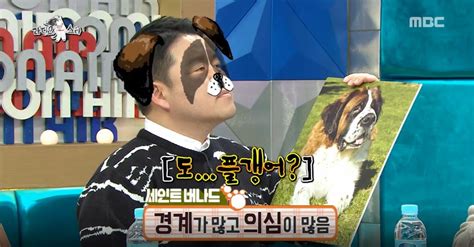 라디오스타 리뷰 ‘개통령 강형욱 윤종신 김구라 규현 닮은꼴 개 공개