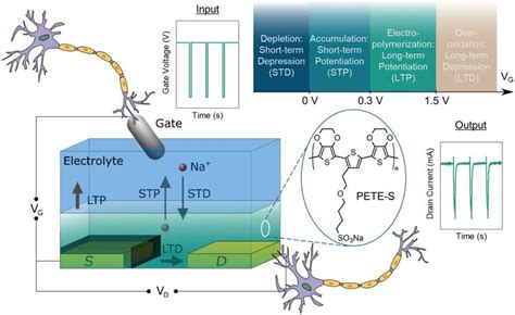 A Single Transistor Process That Can Create Connections Lifeboat News The Blog