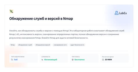 Обнаружение служб и версий в Nmap Labex