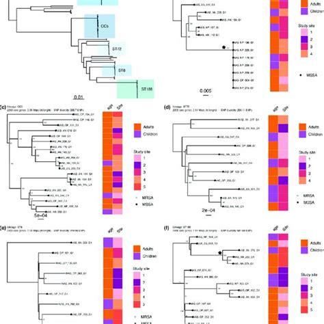 Population Structure Of The S Aureus Isolates Carried A And Five