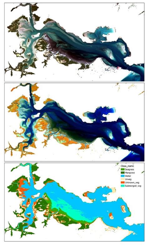 Estuarine Habitat Mapping — Tidal Research