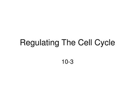 PPT Regulating The Cell Cycle PowerPoint Presentation Free Download ID