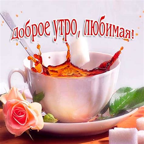 Пожелания с добрым утром любимой девушке стихи проза картинки