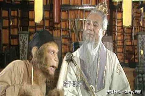 猪八戒的天罡三十六变和孙悟空的地煞七十二变到底哪个更厉害 变化