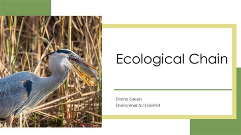 Ecological Chain Ppt Graphics Acp Ppt Powerpoint