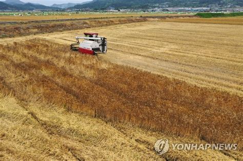 하반기 달라지는 것 농산물 온라인도매시장 출범푸드테크 펀드 신설 나무뉴스