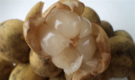 Необычные фрукты 11 07 17 15 48 Пикабу