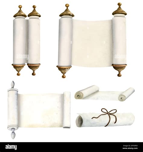 Vertical Scrolls Clipart