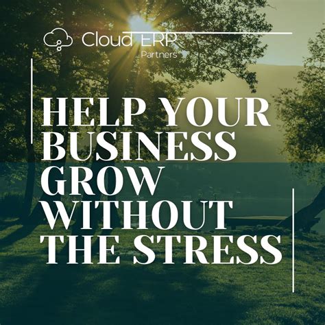 Cloud Erp Partners Netsuite Solution Providers On Linkedin Netsuite