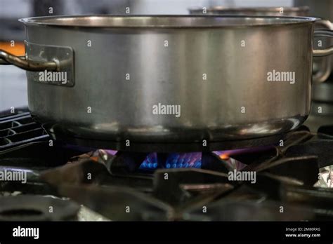 Propane Flames Gas Stove At Terri Trevino Blog