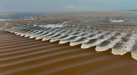 钱塘江第八种潮景再现：浙江多地出现罕见鱼鳞潮含视频手机新浪网