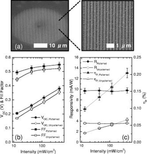 A Scanning Electron Micrographs Of The Patterned Ag Anode The