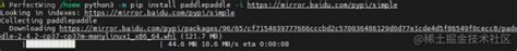 paddleocr linux centos7 6安装与部署 linux安装paddleocr csdn博客