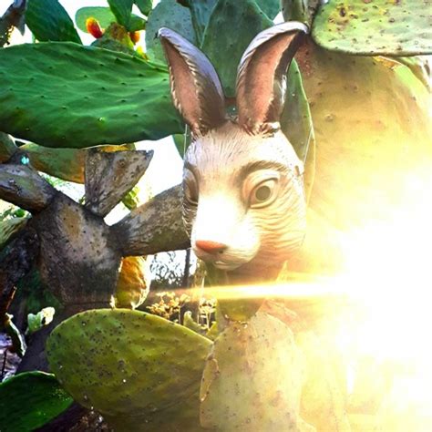 Stream Track 4 The Monster Of Bindoon By Brian Gummer Listen Online