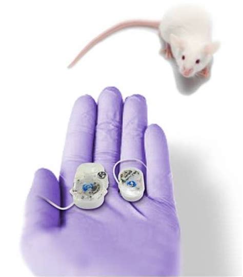 Iprecio Programmable Infusion Pump Alzet® Osmotic Pumps