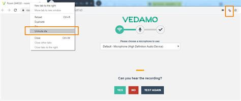 Virtual Classroom System Check Microphone Vedamo