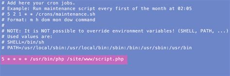 Programming Recurring Tasks With Cronjobs Combell Support