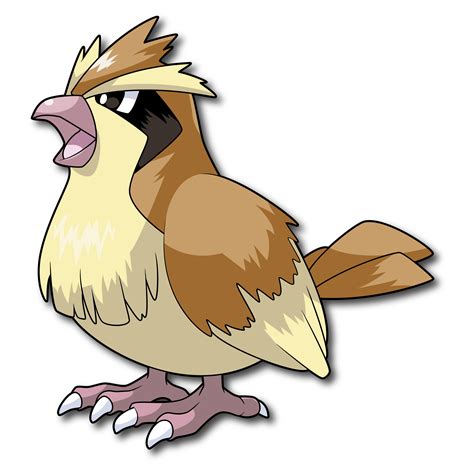 016 Pidgey Pokemon Animais Arte De Fumaça