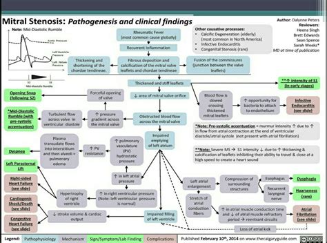 Flow Diagram Of Mitral Stenosis