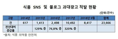 소셜미디어 블로그 마켓 과대광고 큰폭 중가5년간 2만3천 건 노컷뉴스