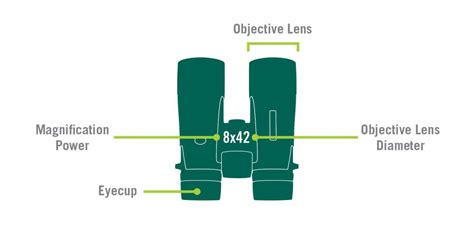 How To Find A Great Binocular On A Budget