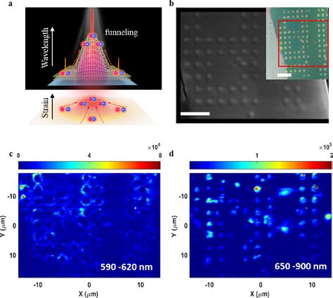 Figure 1 From Imaging Strain Localized Single Photon Emitters In Layered Gase Below The
