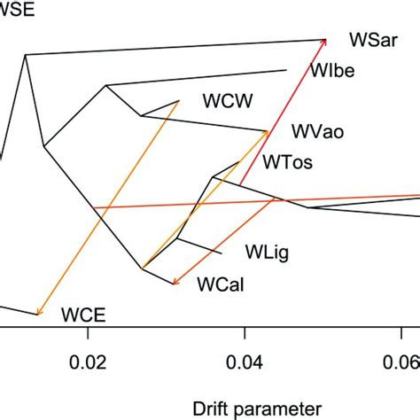 Maximum Likelihood Tree Obtained With Treemix Describing The