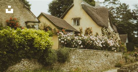 낮에는 녹색 식물과 나무로 둘러싸인 갈색과 흰색 콘크리트 주택 사진 Unsplash의 무료 시골집 이미지