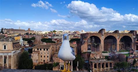 Premium Photo Guide R