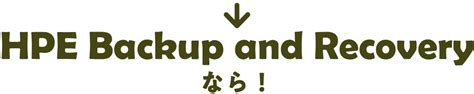 HPE Backup and Recovery ネットワールド