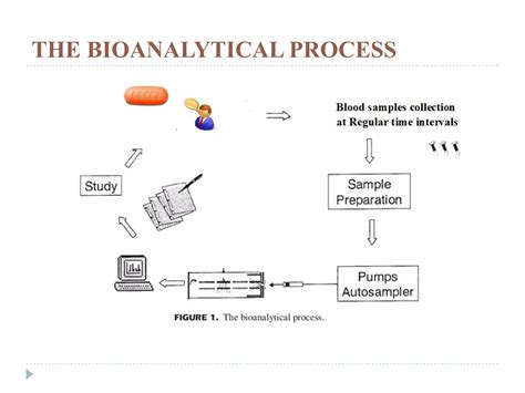Bioanalytical Extraction Methods And Validation Parameterspptx Chemistry Science