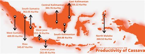 The Productivity Of Cassava In Indonesia In 2018 Download Scientific Diagram