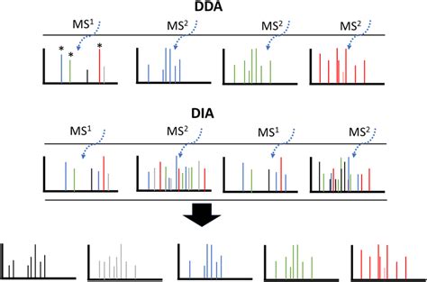 General Differences Between Data‐dependent Acquisitions Dda And