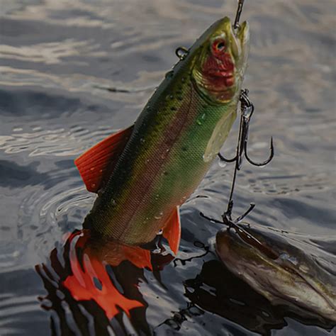 Fishing Tackle Rods Reels Line Hooks Bait Angling Direct