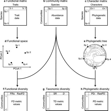 Framework For Computing Functional Taxonomic And Phylogenetic