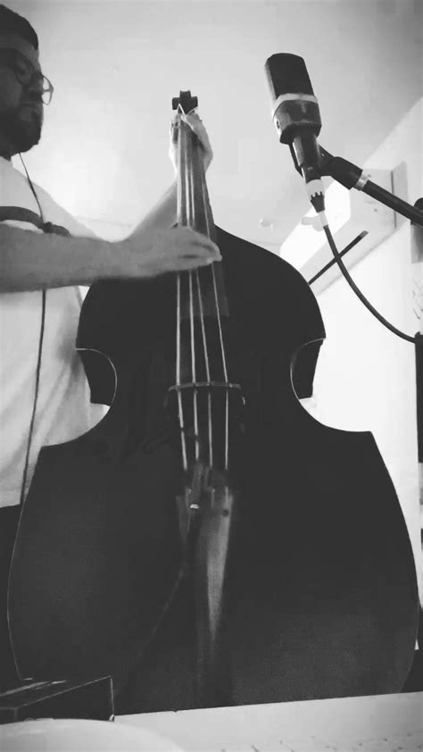 Producción Musical Regional Mexicano Estilo Campirano Requinto Tolol