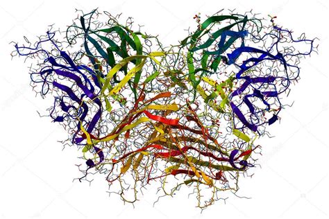 Enzyme Molecule Structure