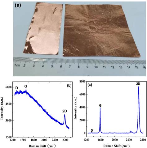 Demonstration Of A Flexible Graphene Based Biosensor For Sensitive And Rapid Detection Of