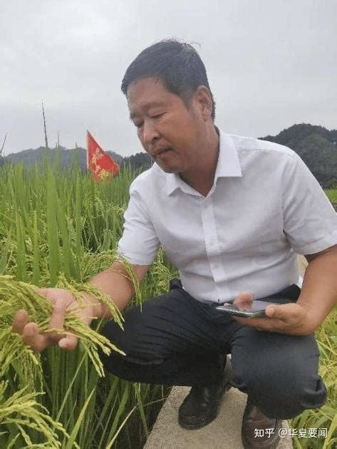 乡村振兴报道 碳氢核肥发明人高光林一行莅临贵州各区县调研 知乎