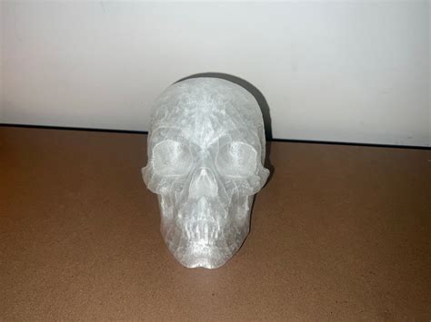 Decorative Skull Homeforge 3d