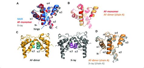 Detailed Comparison Of Solution Nmr X Ray Crystal And Af Models Of