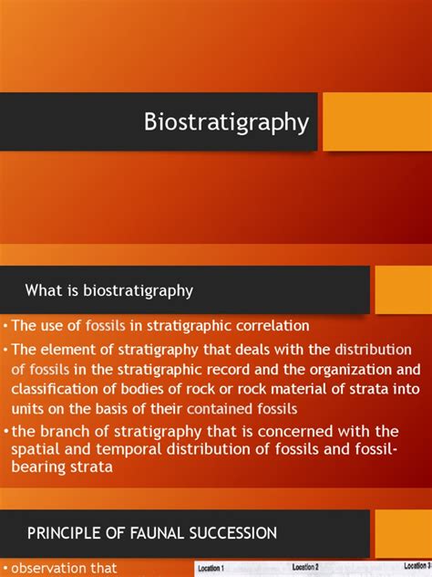 Biostratigraphy Pdf Fossil Stratigraphy