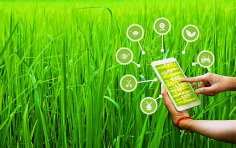 Predictive Ai For Intelligent Forecasting In Agriculture