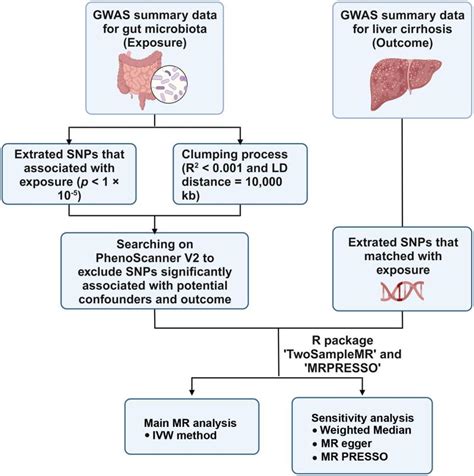 Xia And He Publishing Inc On Linkedin Causal Relationship Between Gut Microbiota And Liver