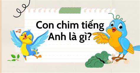 Con Chim Tiếng Anh Là Gì Cách Sử Dụng Từ Vựng Về Con Chim Trong Tiếng Anh