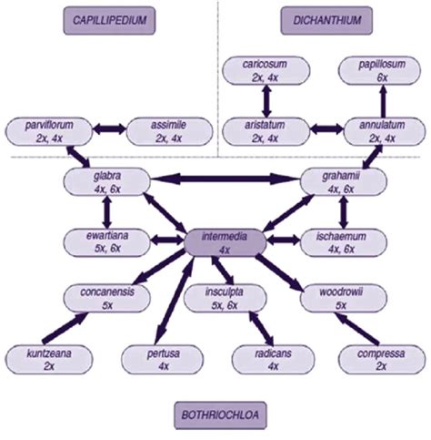 1 Diagrammatic Representation Showing Relationship Among The Members Of