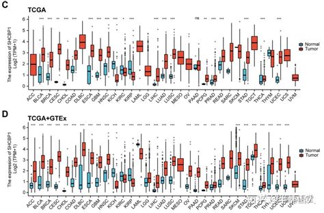 今年6月最新发表的6 单基因泛癌纯生信，值得学习，可重复！ 知乎
